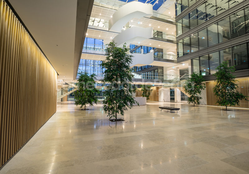 Fornecedor de Pedra. Pedras naturais portuguesas. Pedra calcária ...